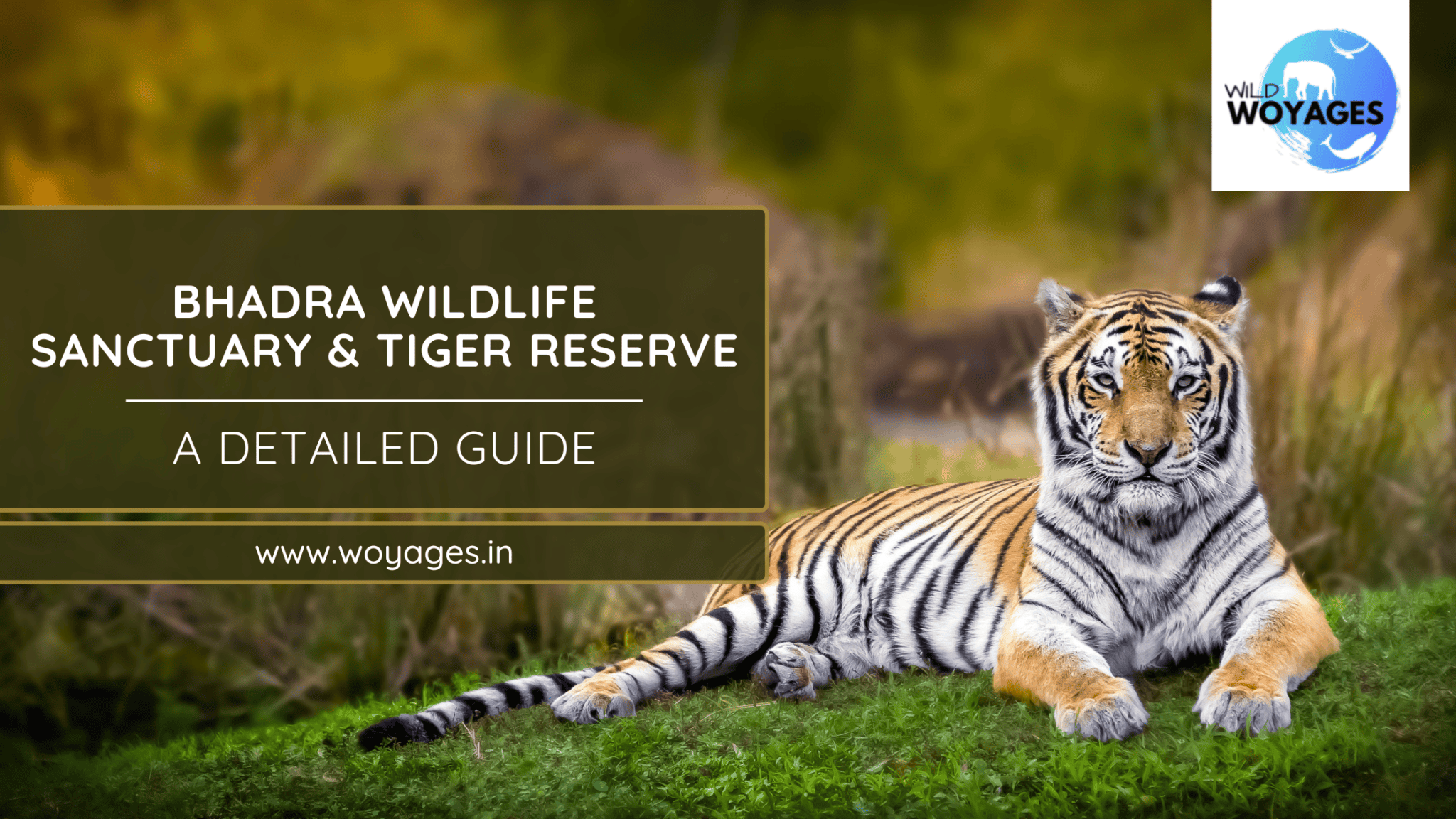 Bhadra Wildlife Sanctuary & Tiger Reserve: A Detailed Guide (2024 ...