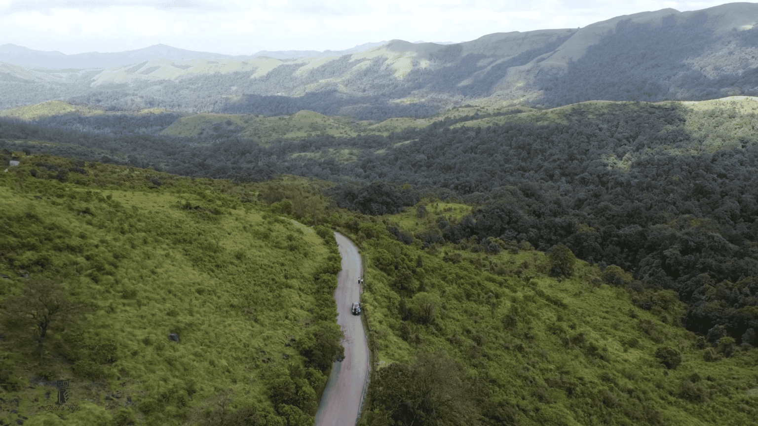 Kudremukh National Park: A Guide to India's Biodiversity Hotspot - Wild ...