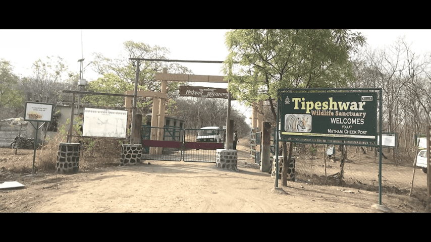 Tipeshwar Wildlife Sanctuary: A Guide to its Biodiverse Ecosystem ...