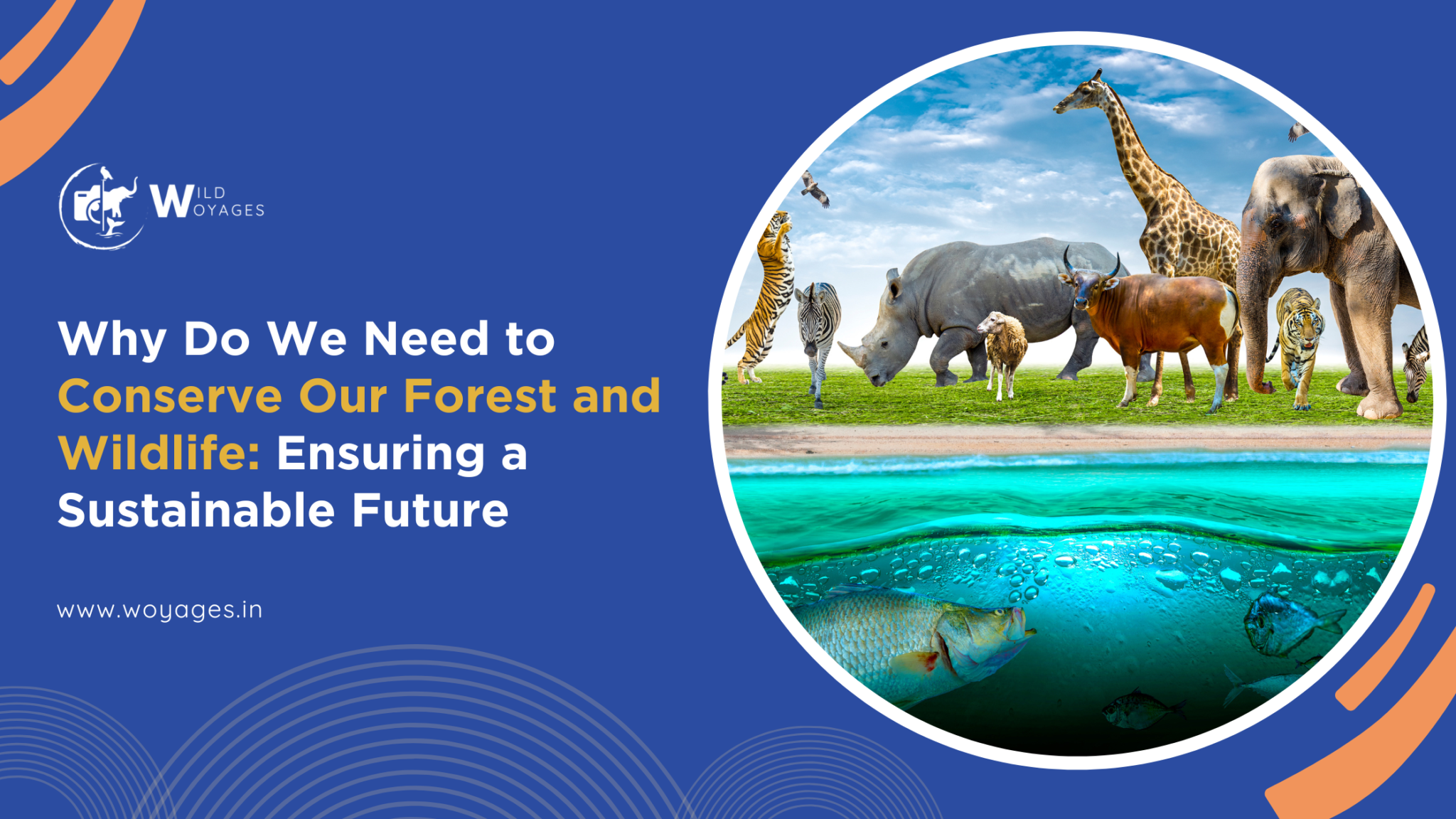 Why Do We Need to Conserve Our Forest and Wildlife: Ensuring a ...